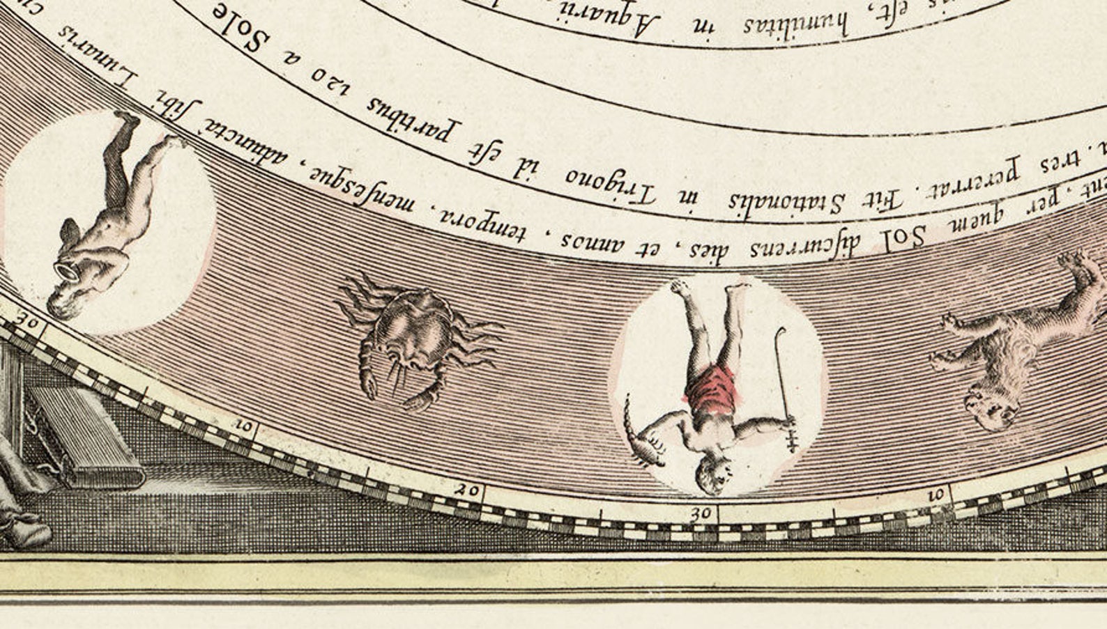 Vintage Constellation, Vintage Constellation Map, Old World Map, Old ...