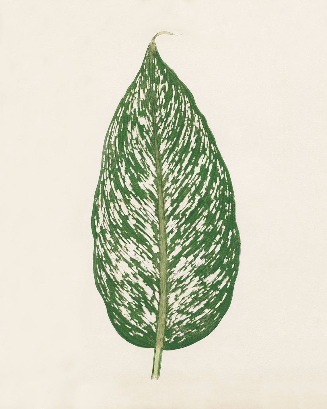 Green Botanical Leaf Print Set Green Botanical Print Set | Etsy