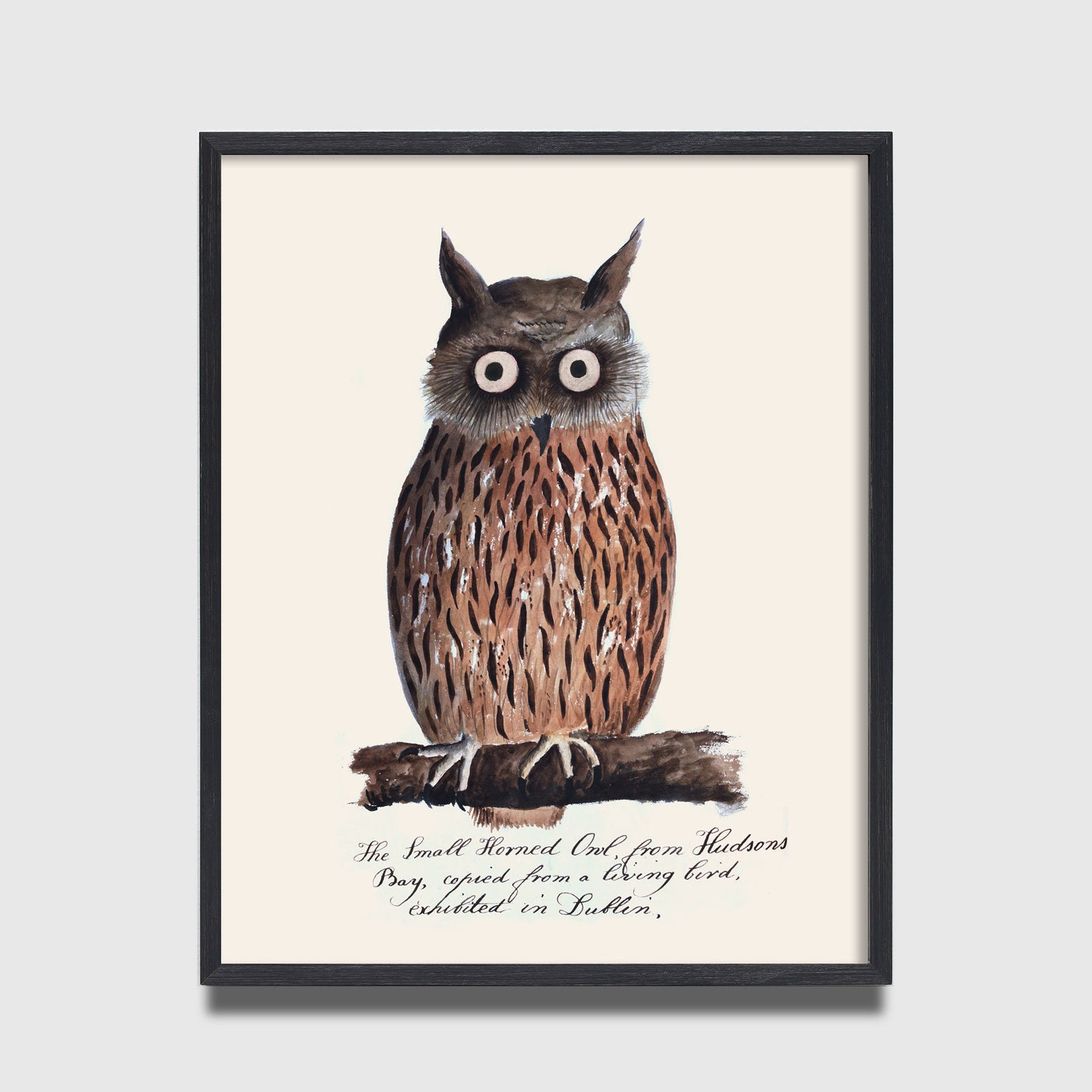 Vintage Owl Drawing Antique Horned Owl Painting Print - Etsy