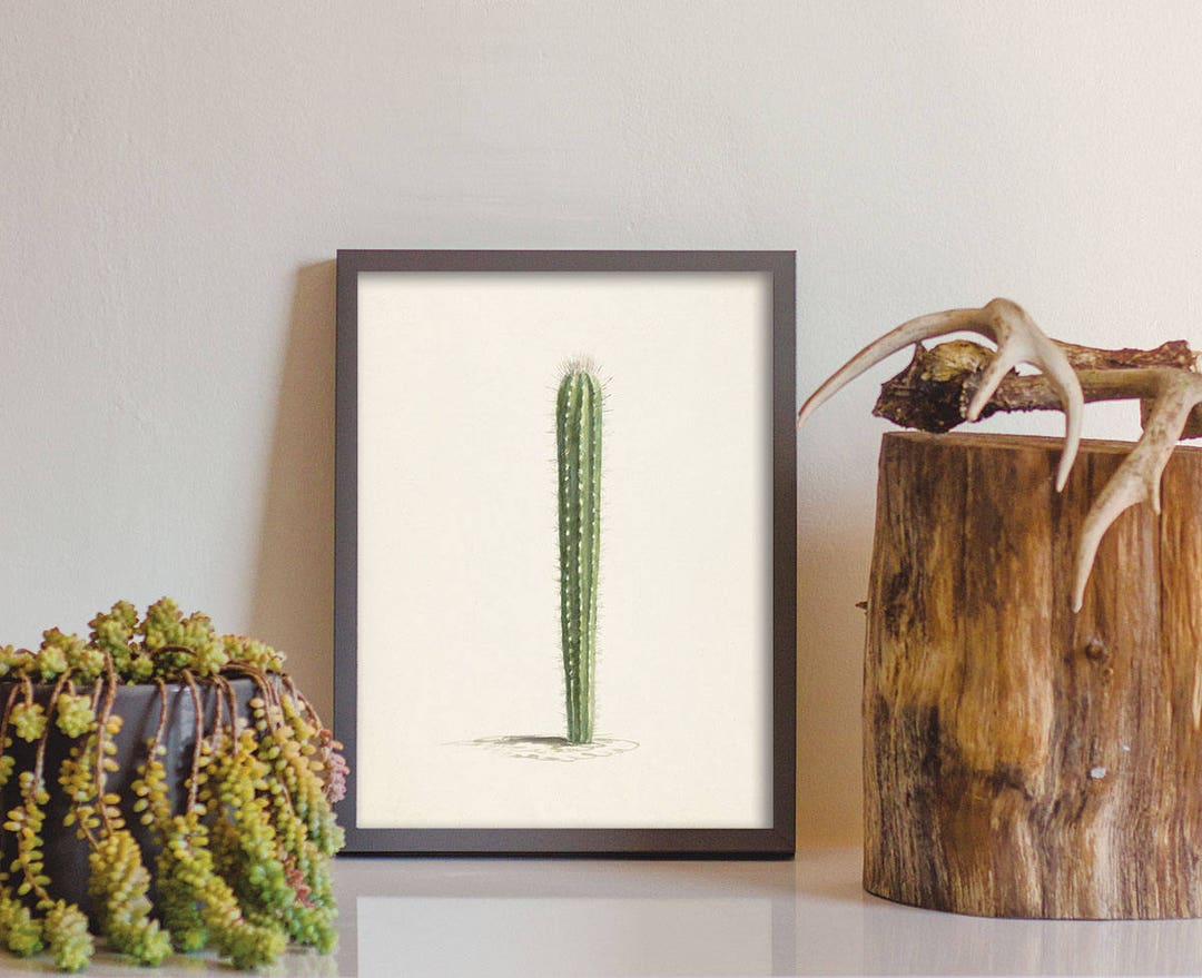 Cactus Print, Cactus Poster, Cactus Wall Art, Succulent Print, Single ...