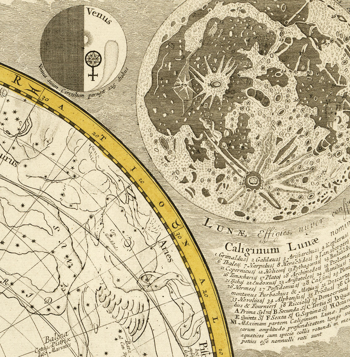 Constellation Map With Gold Vintage Constellation Map Star - Etsy