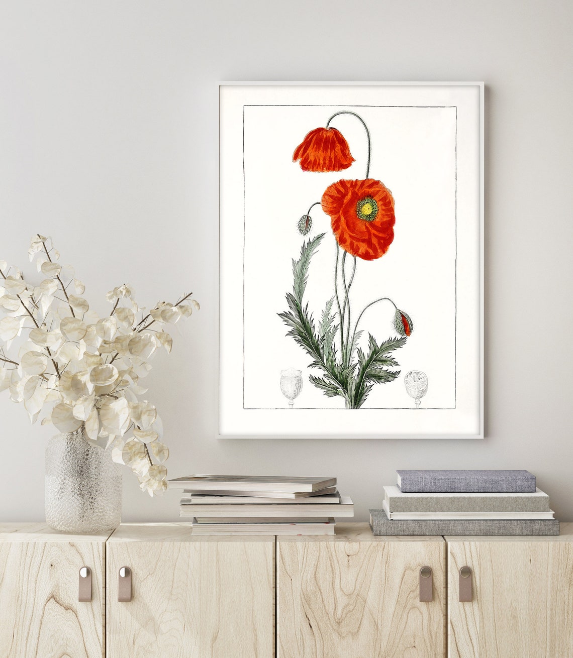 Orange Poppy Victorian Poppy Antique Botanical Victorian | Etsy