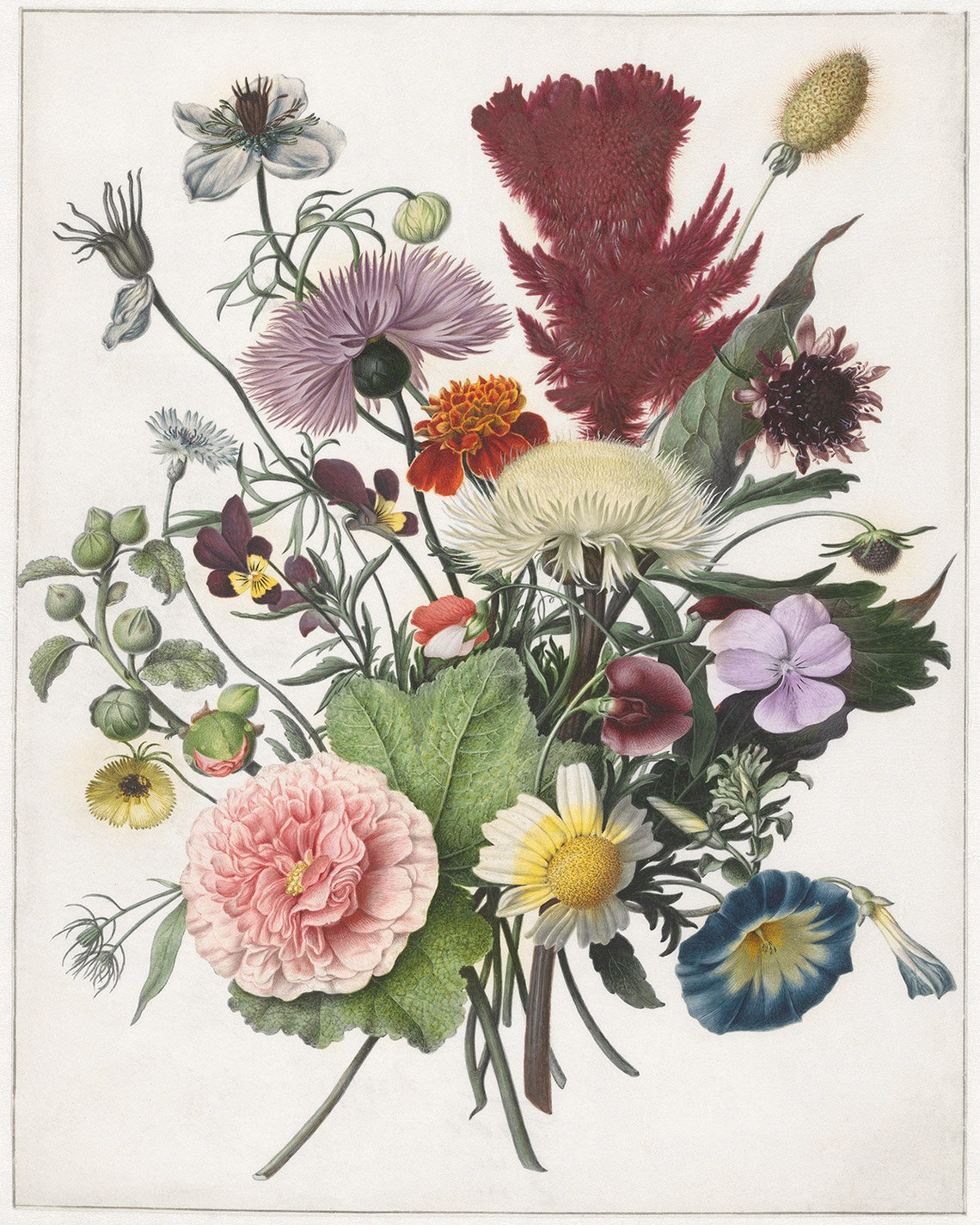Victorian Floral Botanical, Modern Victorian Wall Art Colorful Flower ...