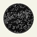 Black Constellation Print, Black Star Chart, Cosmos Print, Circular Art ...