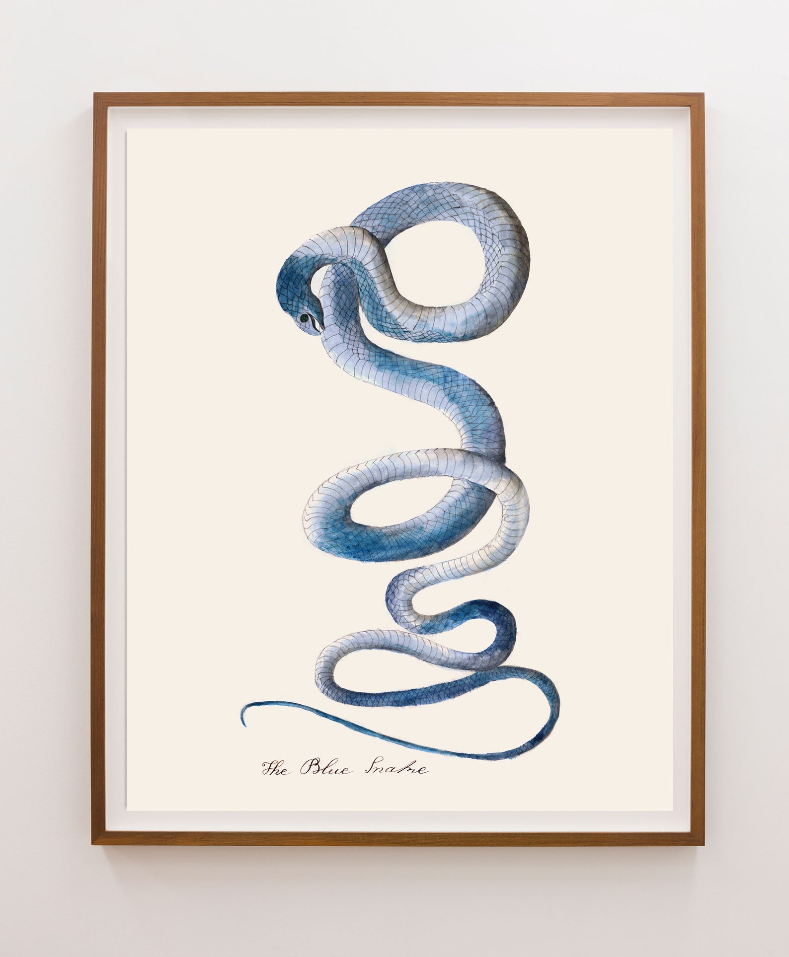 Blue Snake Art Desert Wall Art Southwest Decor Snake Drawing - Etsy