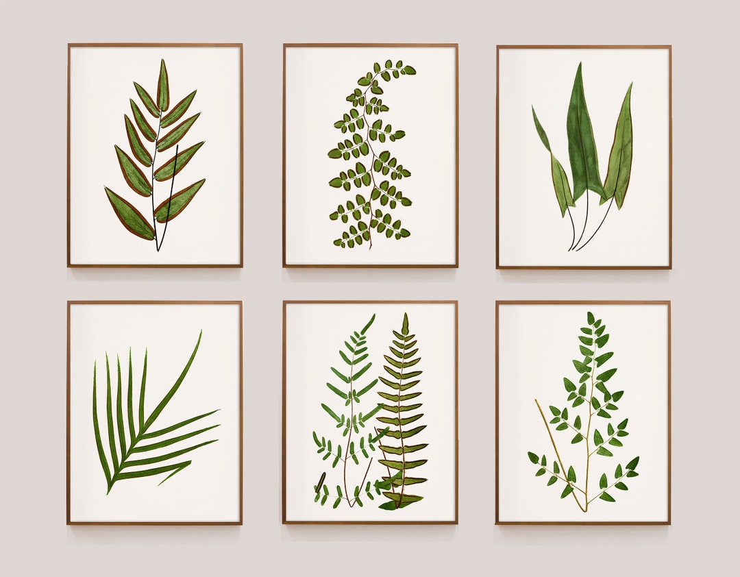 Fern Print Set, Fern Prints Set of 6 or 8 Fern Prints, Botanical Print ...