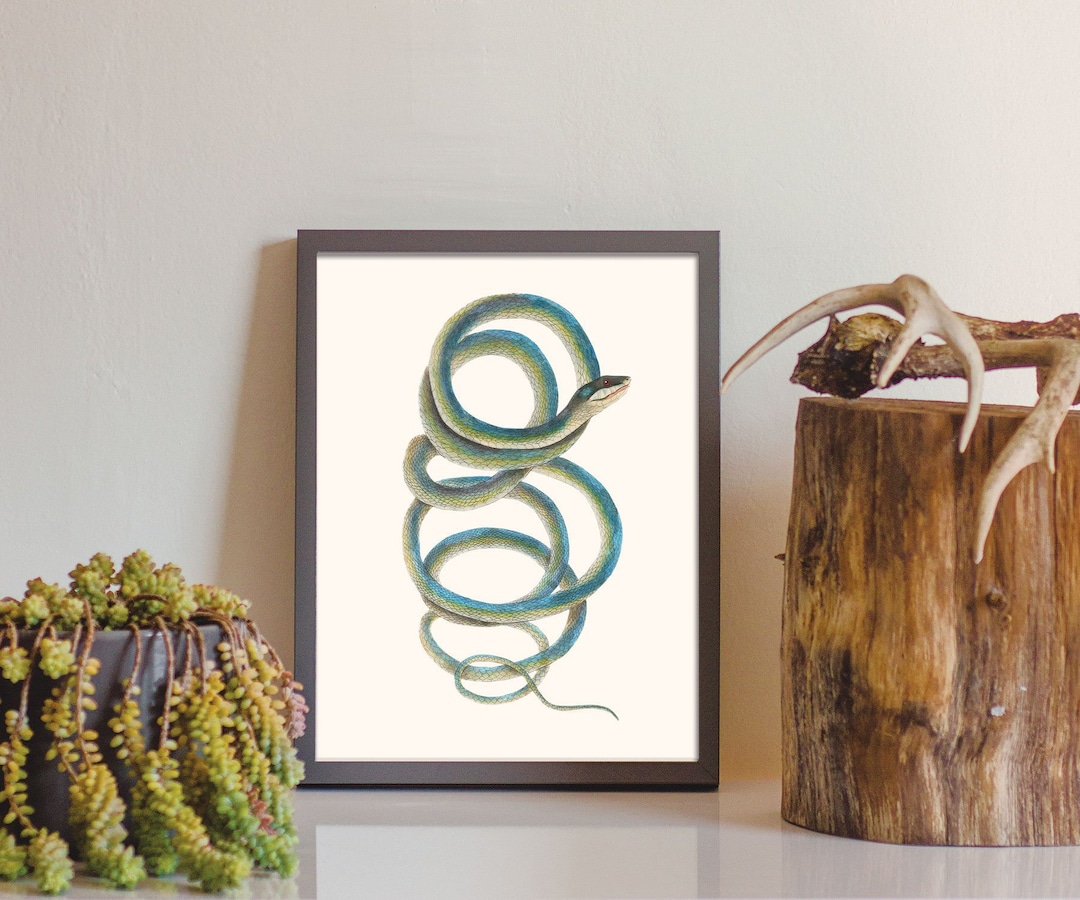 Blue Snake Art Desert Wall Art Southwest Decor, Snake Drawing, Snake ...