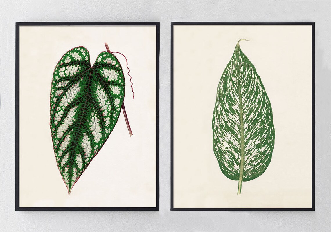 Green Botanical Leaf Print Set Green Botanical Print Set - Etsy