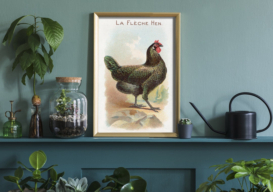 Vintage Rooster Art, Vintage Chicken Art, Vintage Rooster Art, Kitchen ...