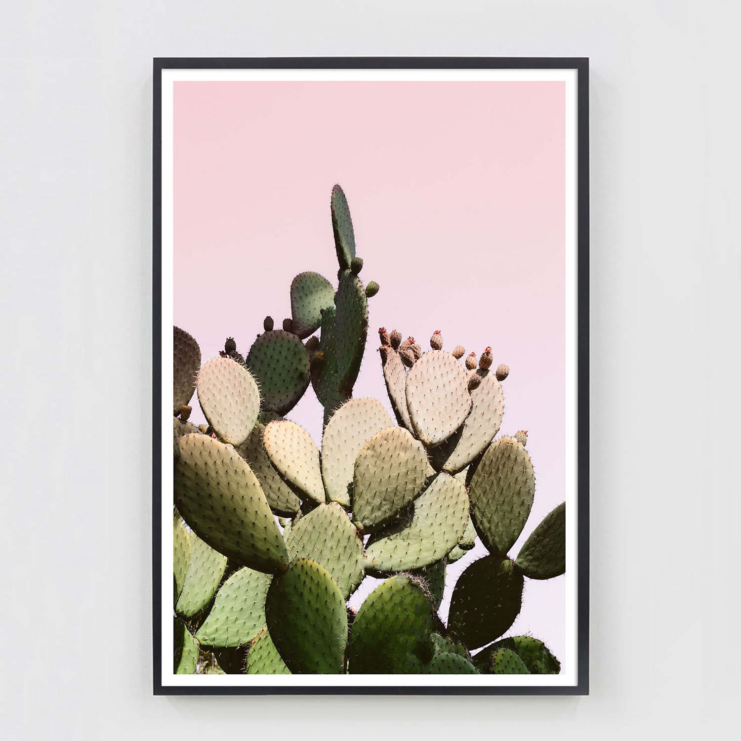 Cactus Print of prickly pear cactus against pink sky | Etsy