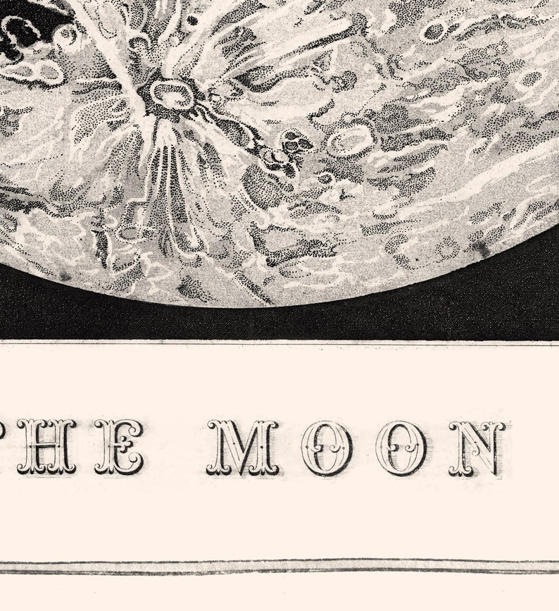 Vintage Moon Print Decor Moon Phases Print Astronomy Poster - Etsy