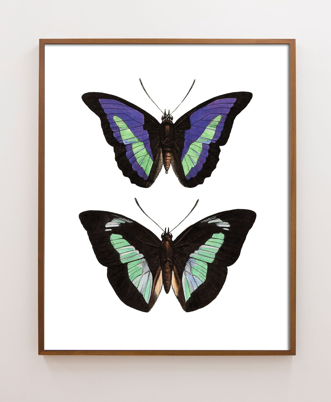 Art Deco Butterfly Print Butterfly Art Butterfly Painting - Etsy