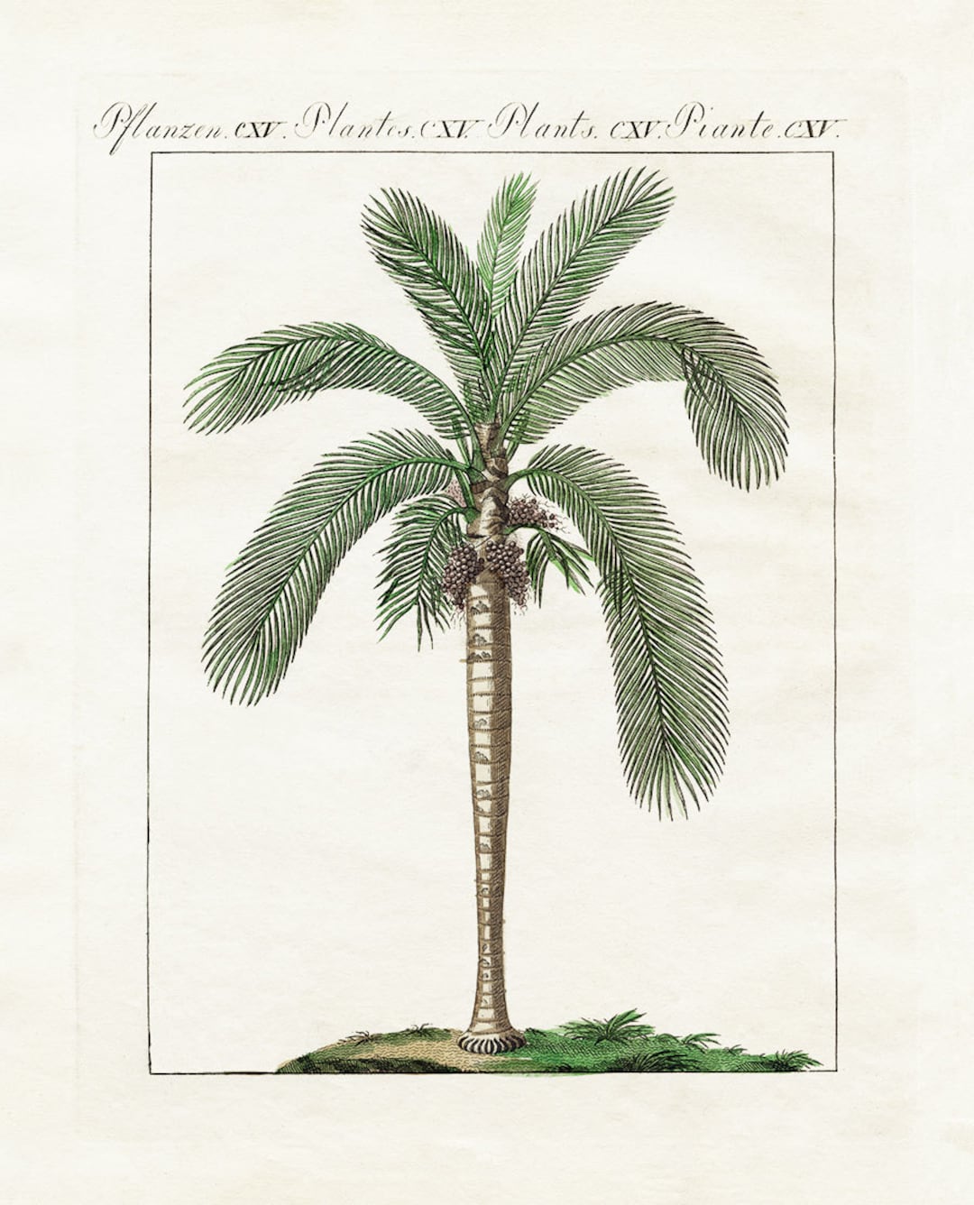 Date Palm, Palm Tree, Deco Style, Egyptian Revival, Palm Tree, Palm Art ...