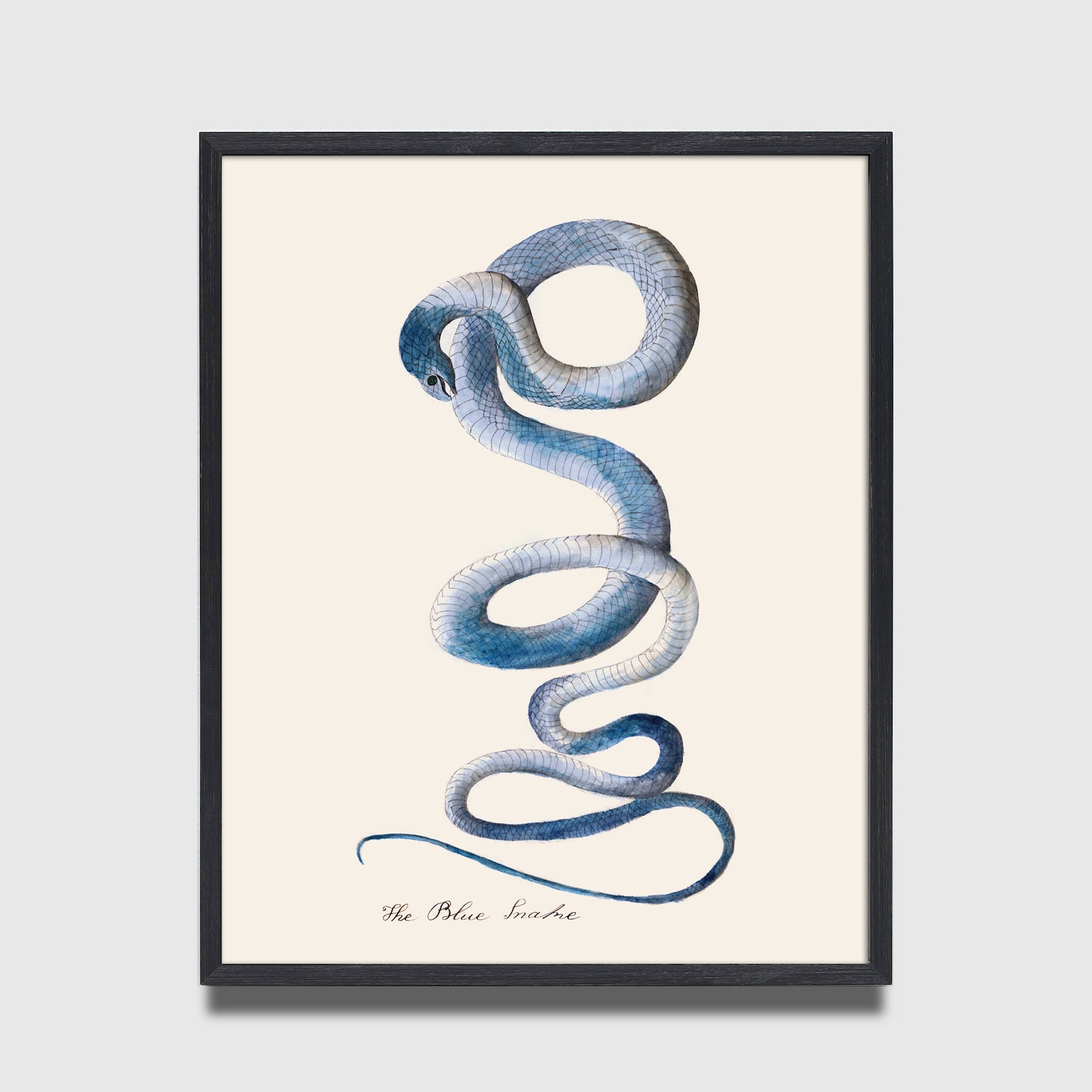 Blue Snake Art Desert Wall Art Southwest Decor Snake Drawing - Etsy