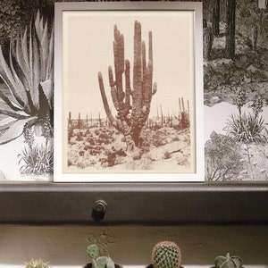 Cactus Art, Cactus Print, Cactus Poster, Cactus Wall Art, Succulent ...