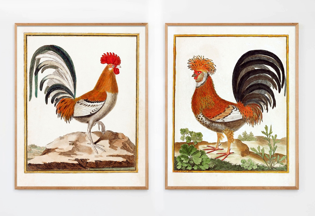 Vintage Chicken Print Set of 2, Farmhouse Wall Decor, Chicken Art ...