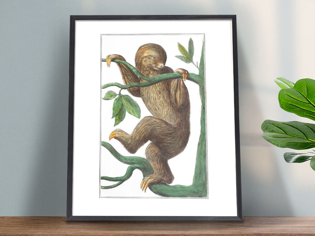 Cute Sloth Gift Art Print, Strange Animal Art, Cute Nursery Art, Sloths ...