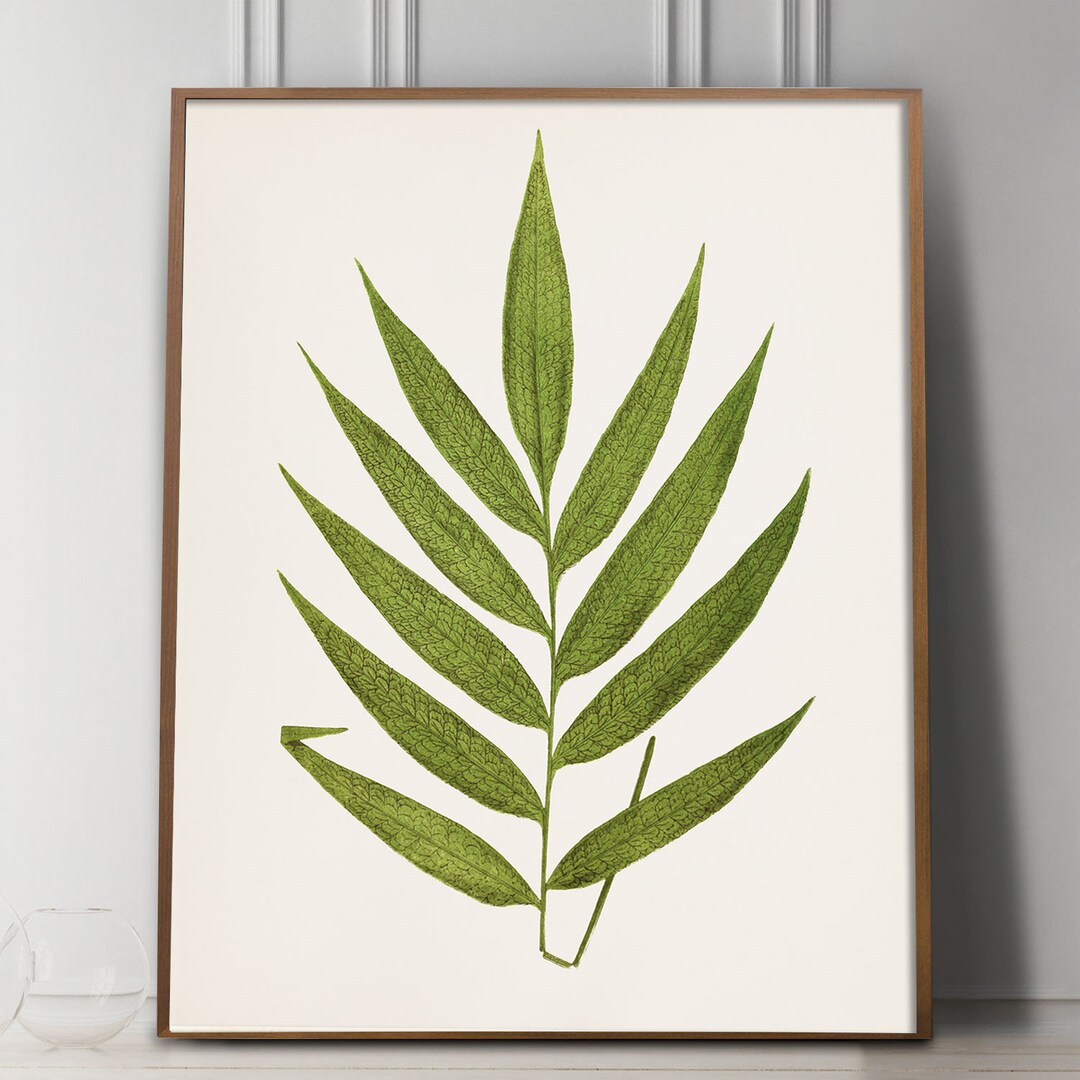 Fern Leaf Botanical Art | Leaf Print | Fern Wall Art | Fern Botanical ...