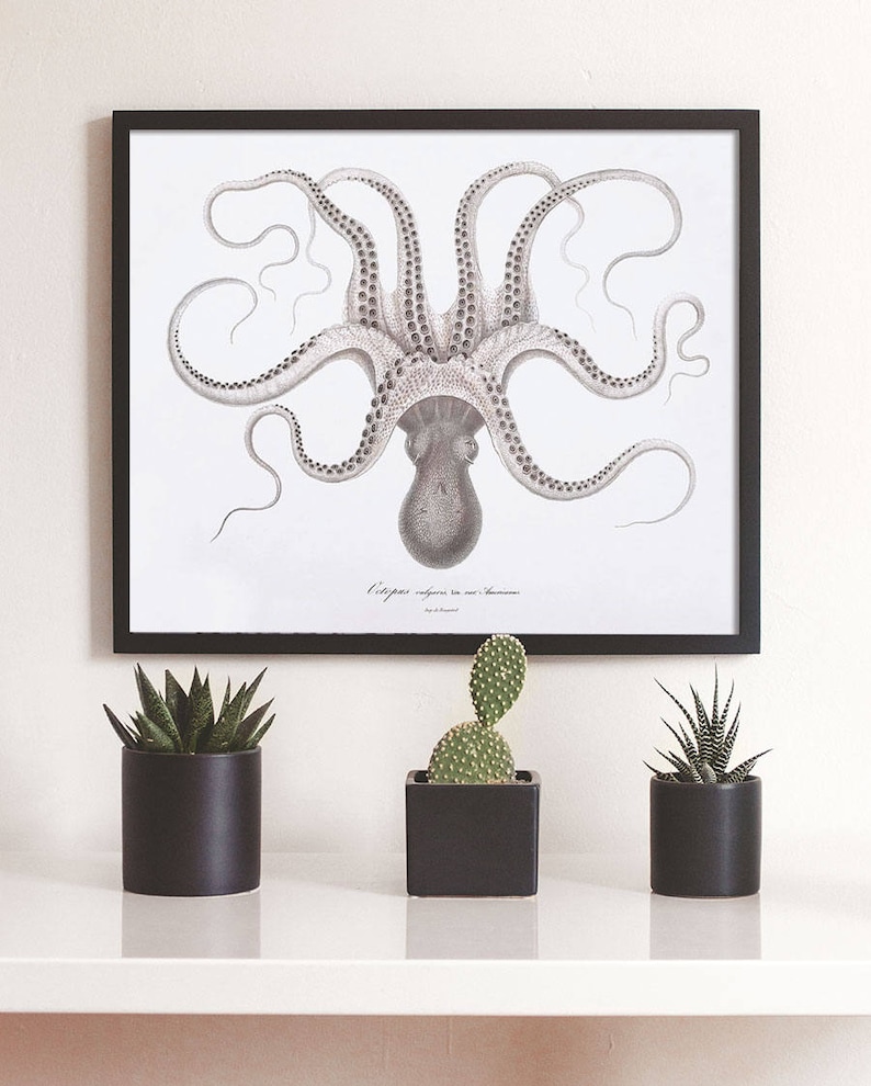 Octopus Art Octopus Poster Octopus Print Giant Octopus | Etsy