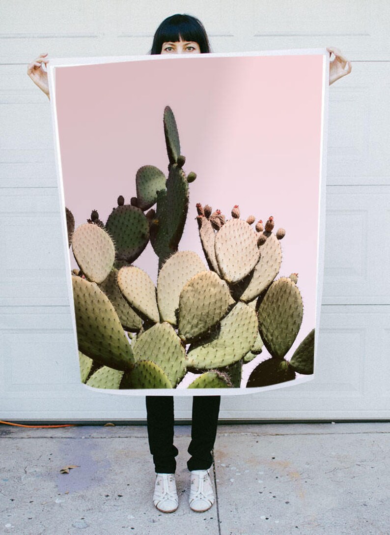 Cactus Print of prickly pear cactus against pink sky | Etsy