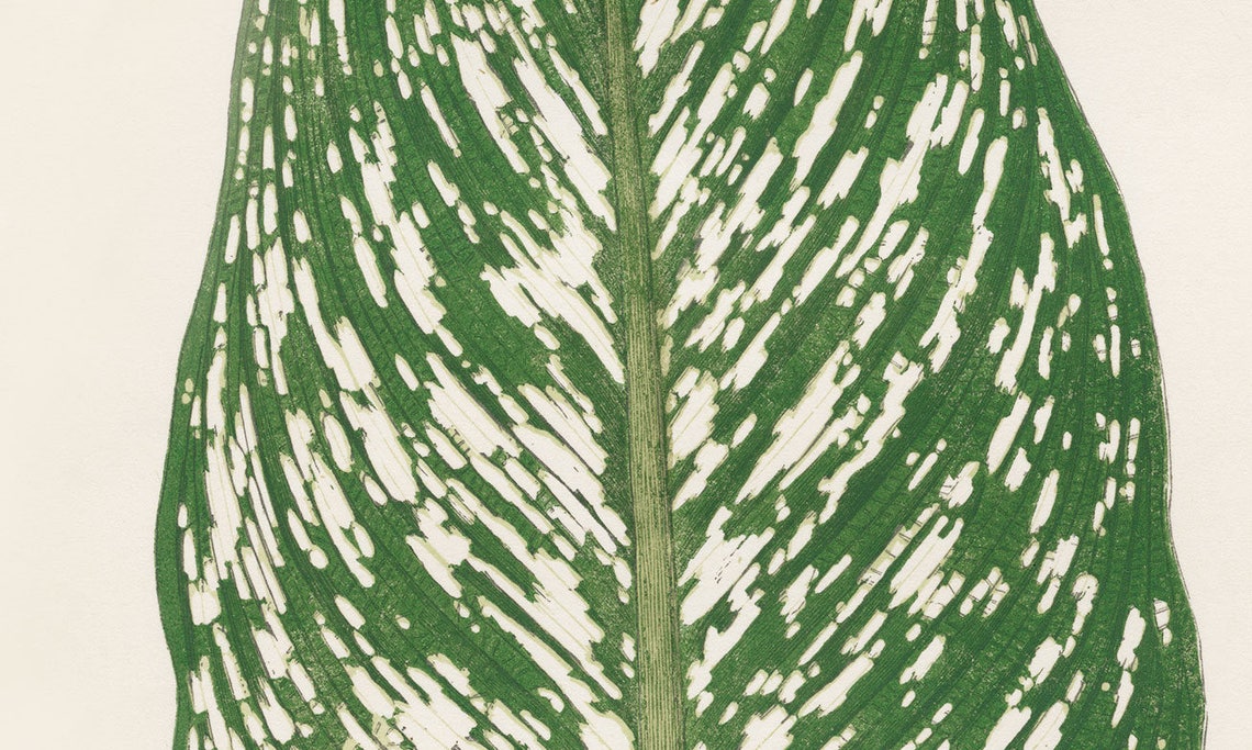 Green Botanical Leaf Print Set Green Botanical Print Set | Etsy