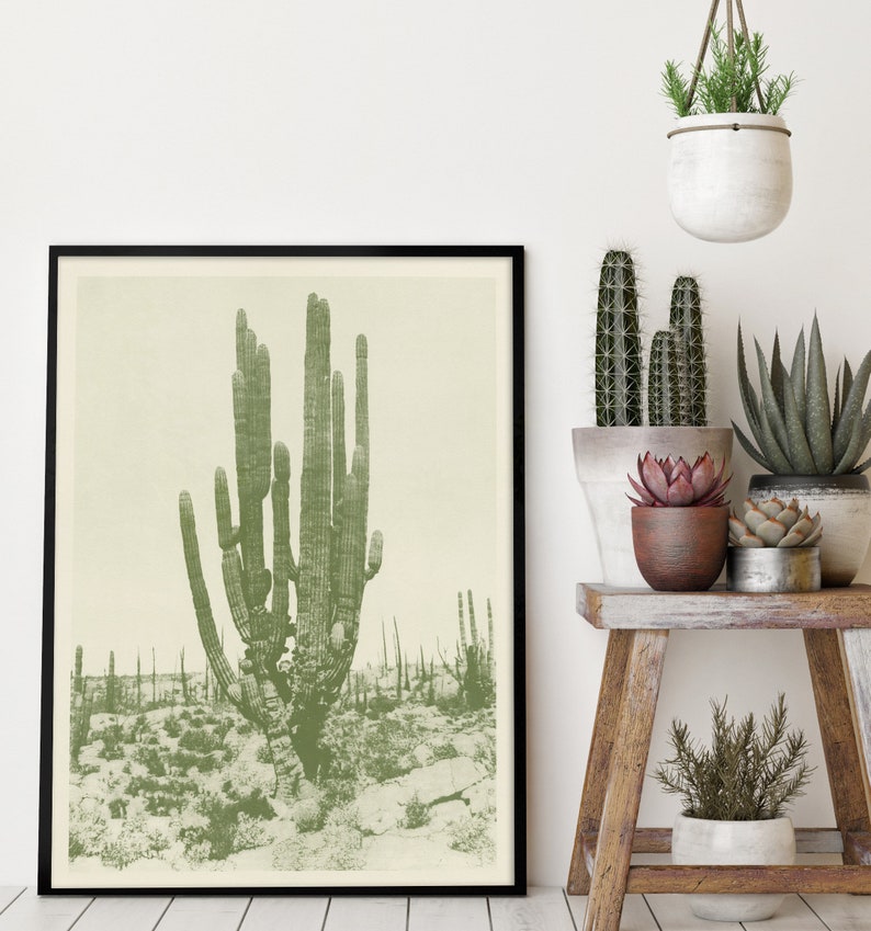 Cactus Art Cactus Print Cactus Poster Cactus Wall Art | Etsy