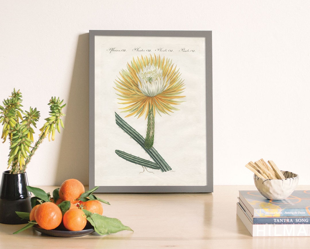 Succulent Print, Succulent Art, Desert Botanical Print, Cactus Art ...