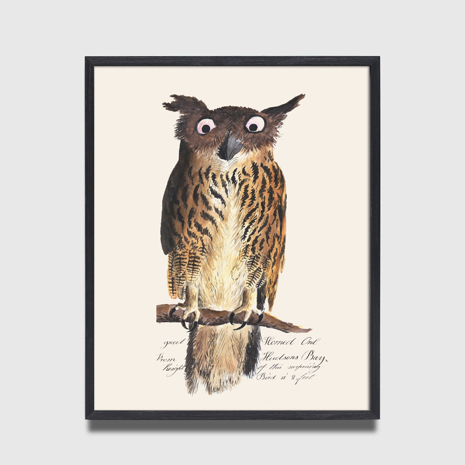 Vintage Owl Drawing Antique Barn Owl Painting Print From the - Etsy