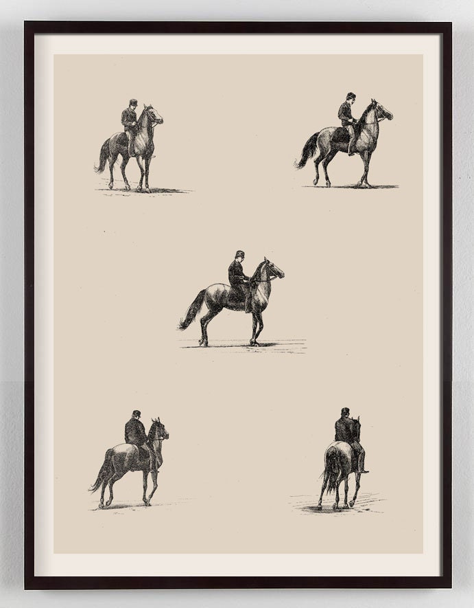 Vintage Horse Print, Antique Horse and Rider, Horse Illustration Art ...
