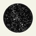 Black Constellation Print, Black Star Chart, Cosmos Print, Circular Art ...