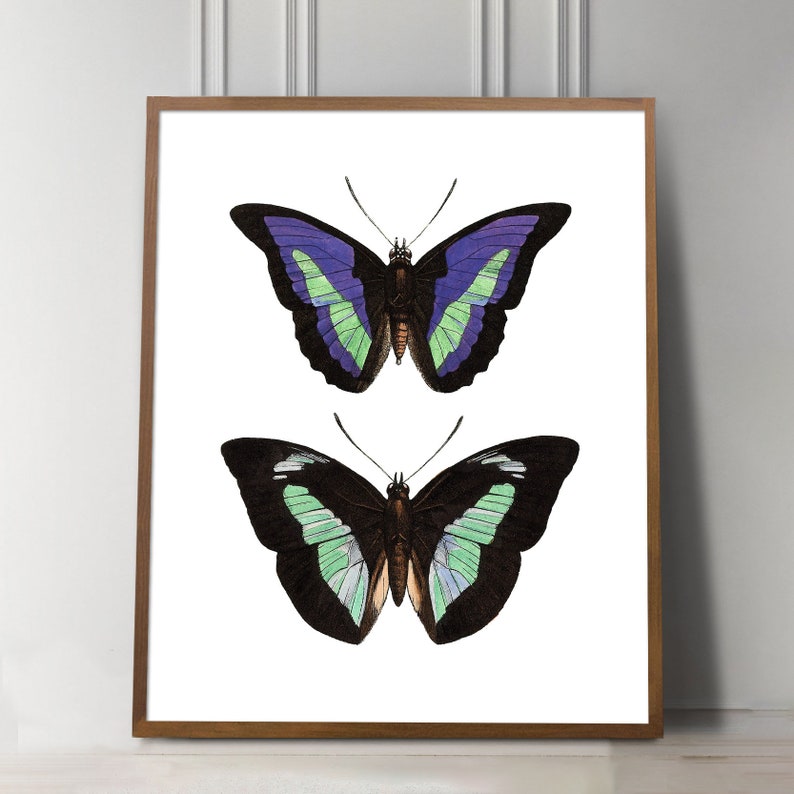 Art Deco Butterfly Print Butterfly Art Butterfly Painting - Etsy
