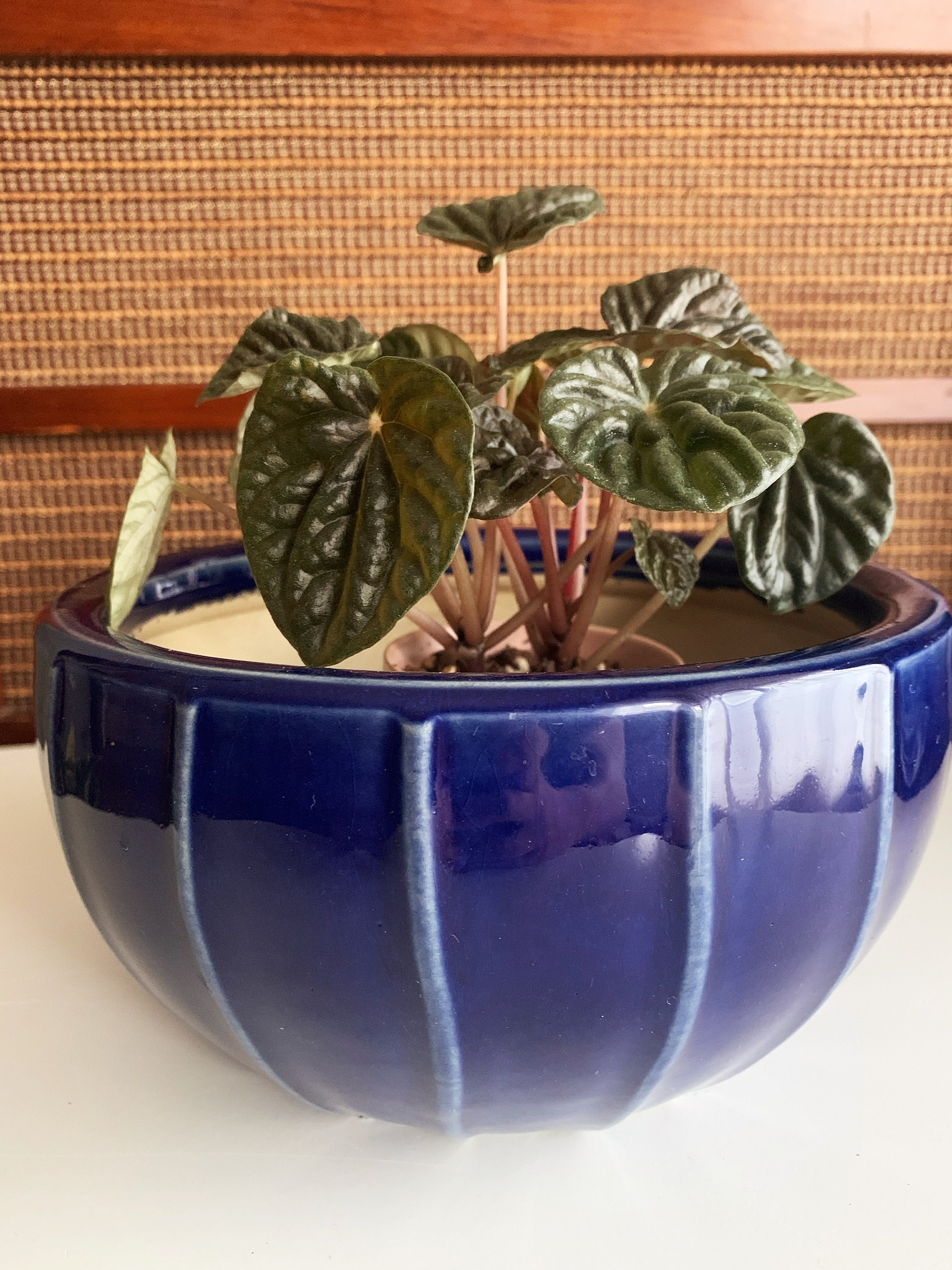 Blue Ceramic Planter - Etsy