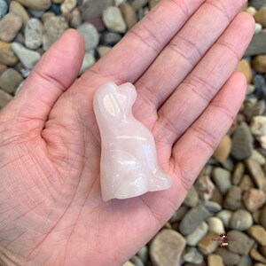 ROSE QUARTZ Dog-50mm Small Natural Rose Quartz Dog-crystal Dog-dog ...