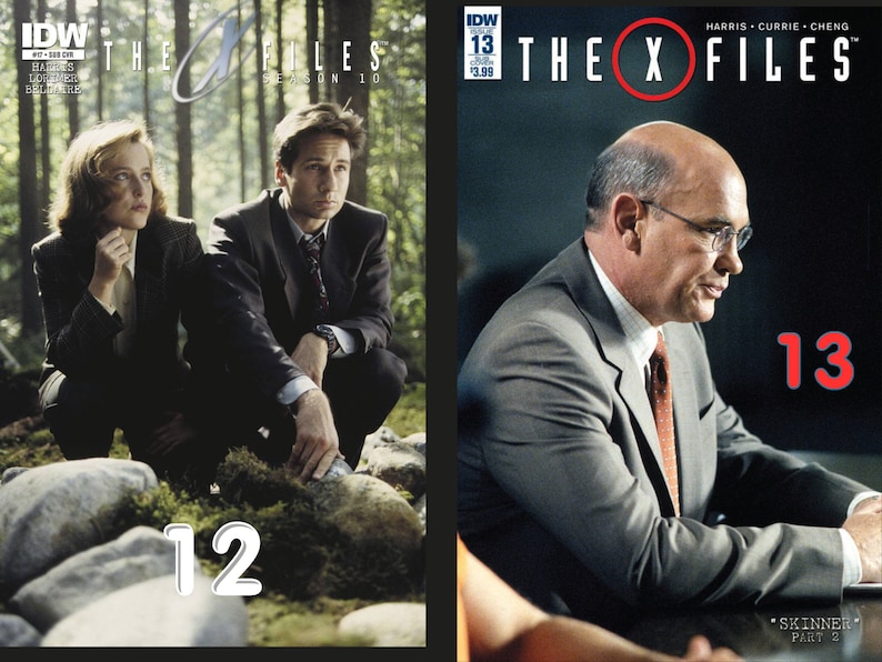 The X-files Magnets Comics Photo Covers NEW DESIGNS! Mulder Scully - Etsy
