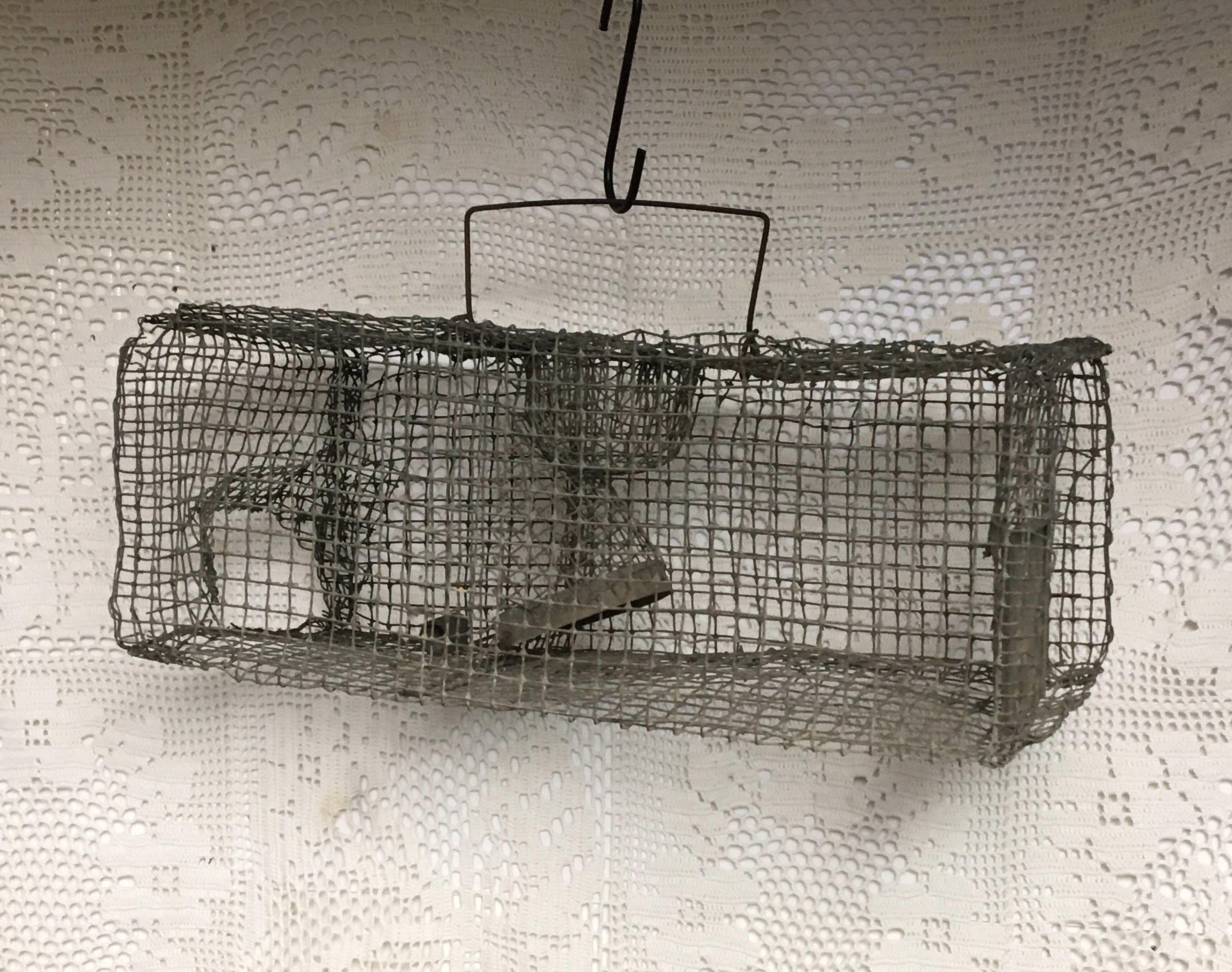 Vintage Rusty Metal Homemade Wire Rodent Rat Trap, Wire Crab Cage ...