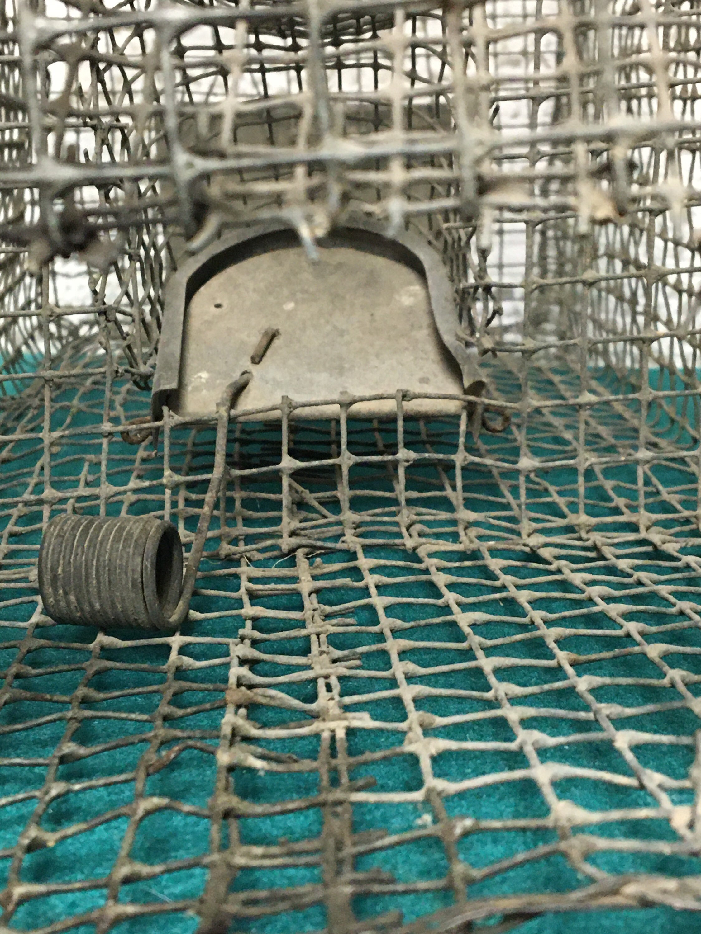 Vintage Rusty Metal Homemade Wire Rodent Rat Trap, Wire Crab Cage ...