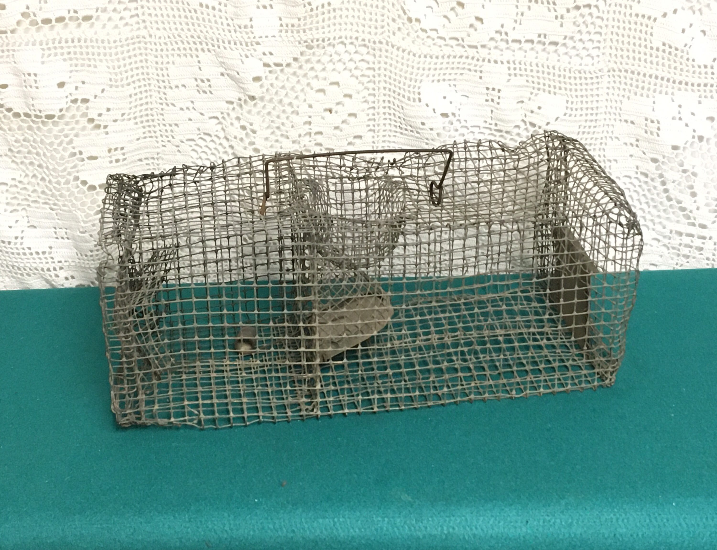 Vintage Rusty Metal Homemade Wire Rodent Rat Trap, Wire Crab Cage ...