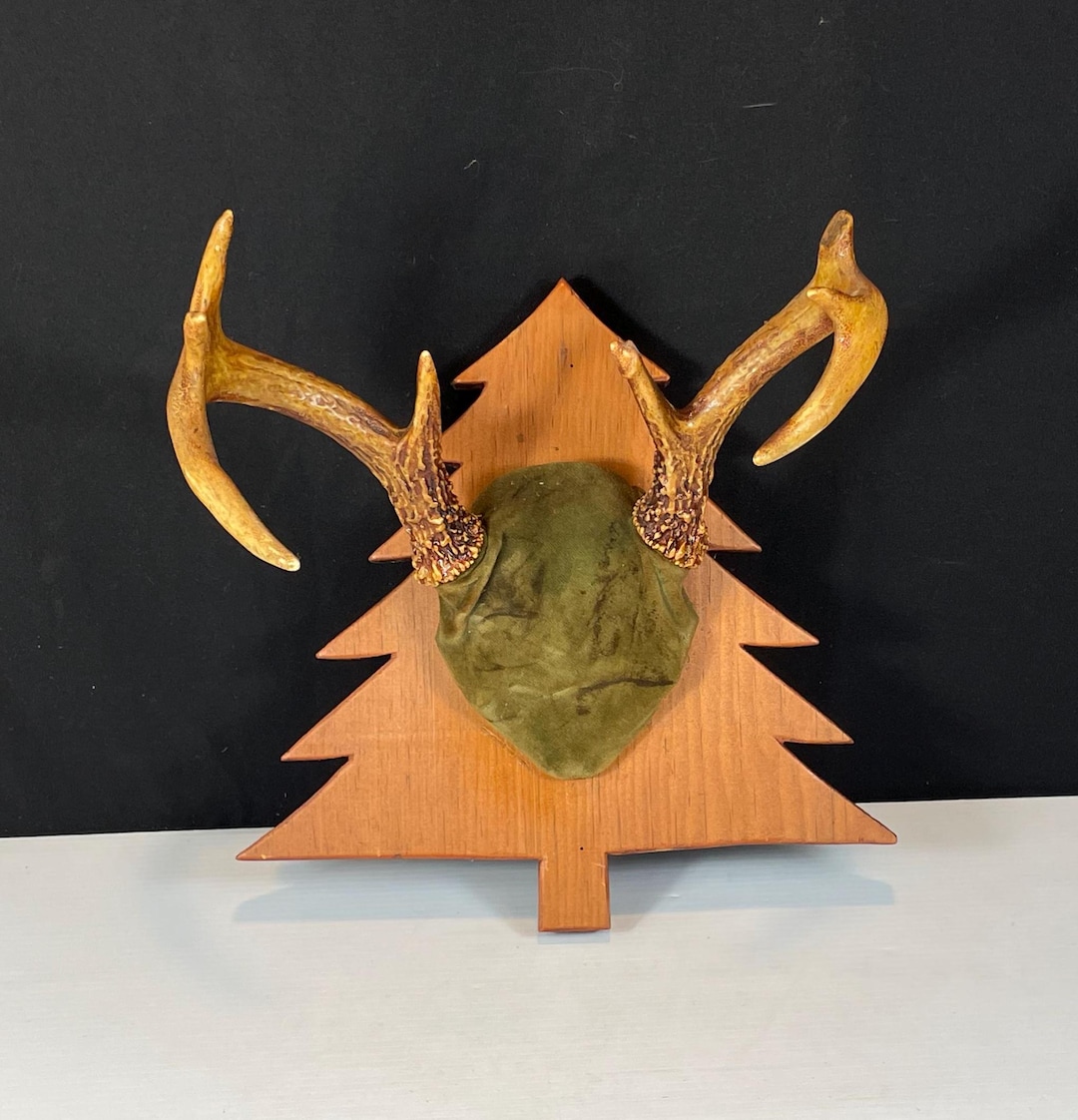 Authentic 8 Point Deer Antlers Mounted on a Homemade Tree Shaped Board ...