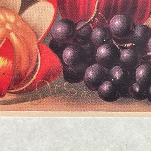 Nature's Bounty Print in Gold Wood Frame, Gallery Graphics, Inc. - Etsy