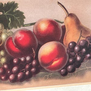 Nature's Bounty Print in Gold Wood Frame, Gallery Graphics, Inc. - Etsy