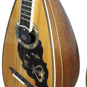 Tzouras Pickup | TAP TZ-S Passive Pickup for Tzouras - Etsy