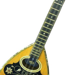 Tzouras Pickup | TAP TZ-S Passive Pickup for Tzouras - Etsy