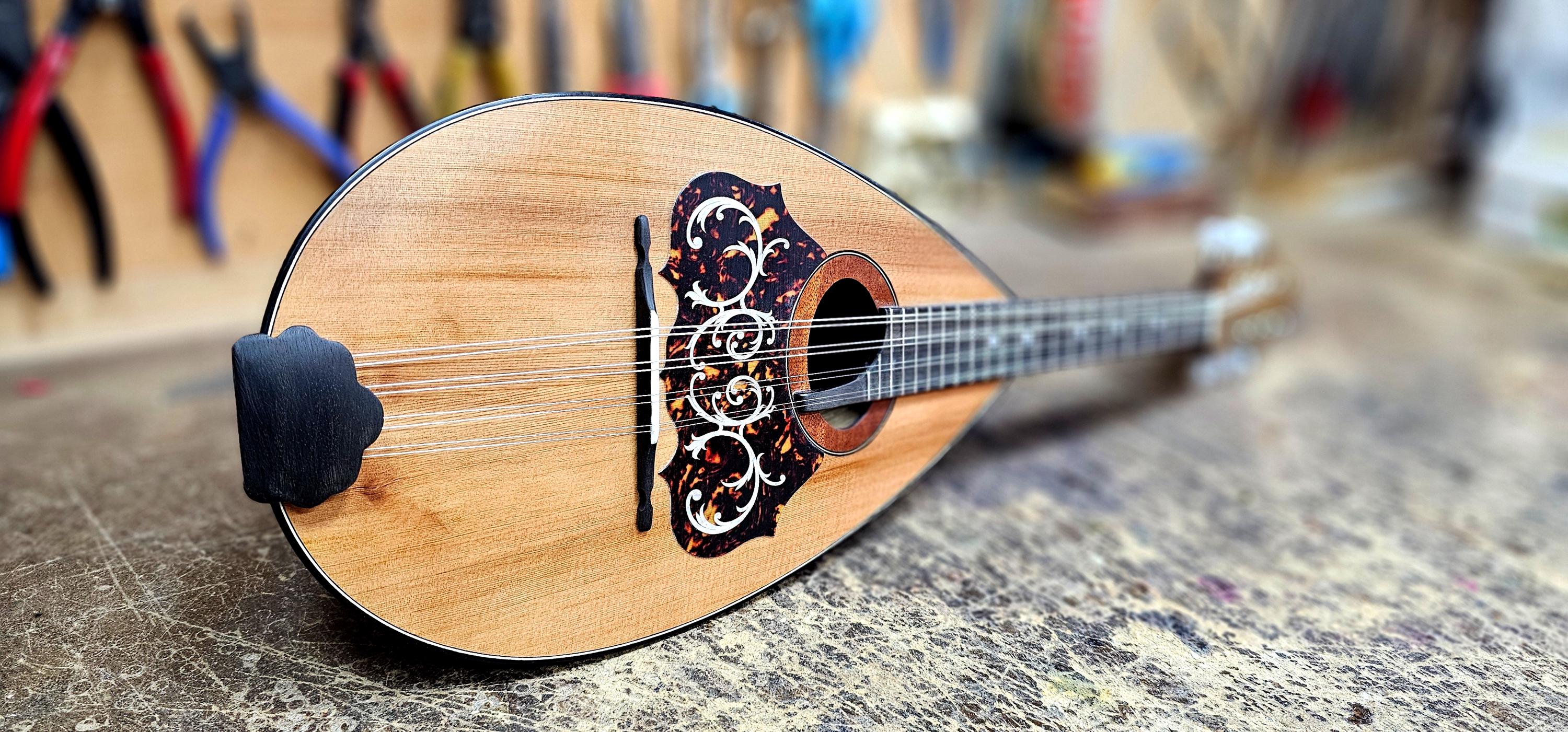 Custom Mandolin | Handmade Antique 