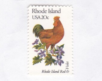 Rhode Island State Flower - Etsy