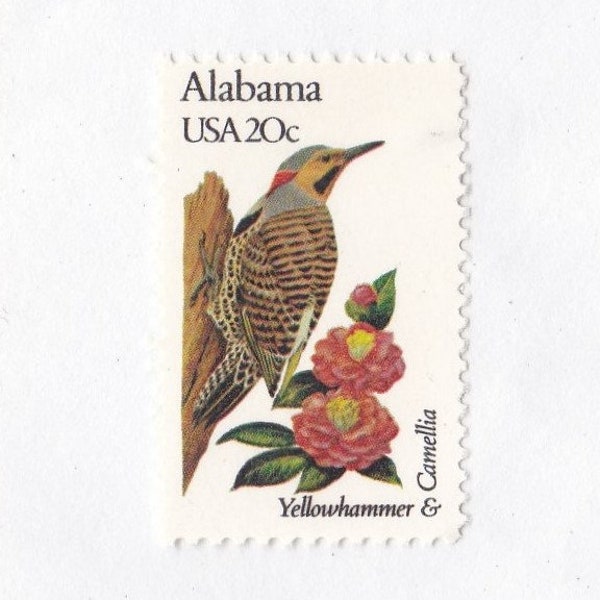 Alabama State Bird - Etsy