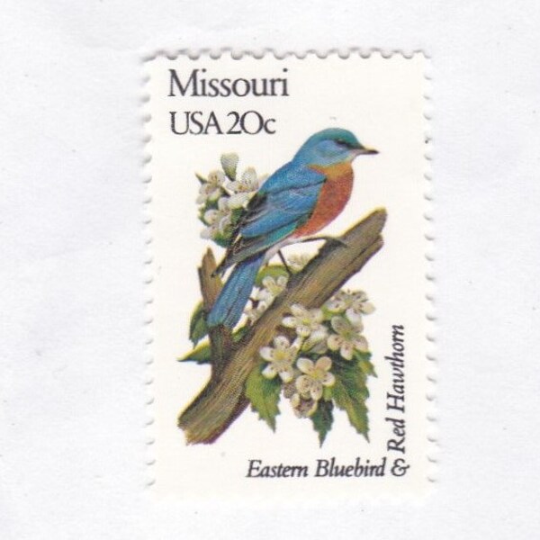 Missouri State Bird - Etsy