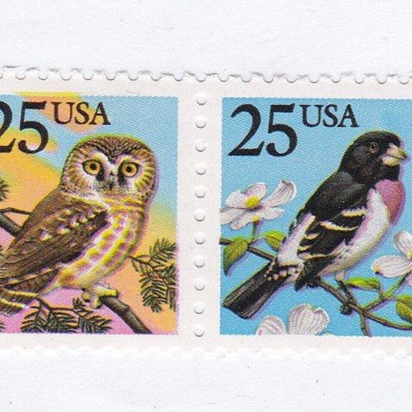 25 Cent - Etsy