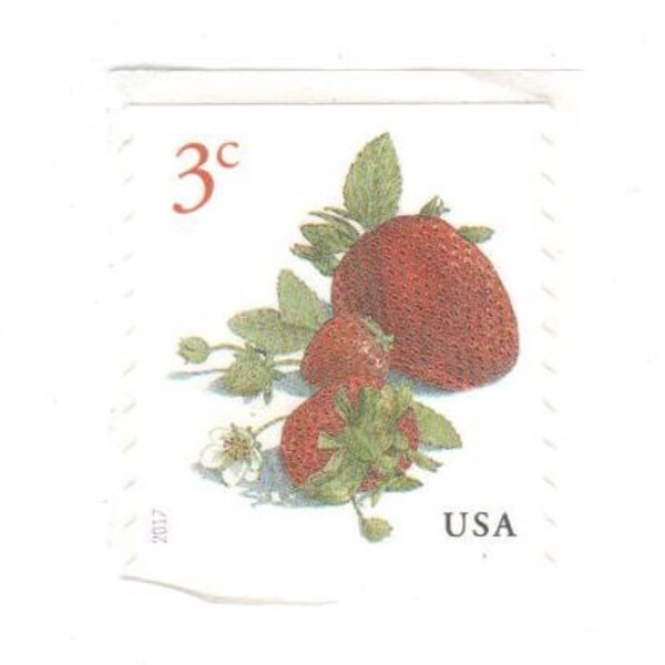 Strawberry Stamp - Etsy