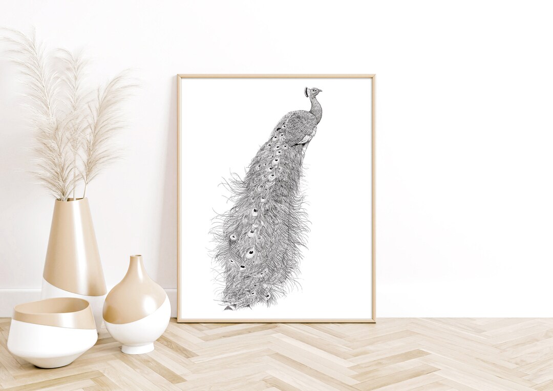 Peacock Wall Print, Peacock Art Print, Peacock Drawing Art, Peacock Art ...