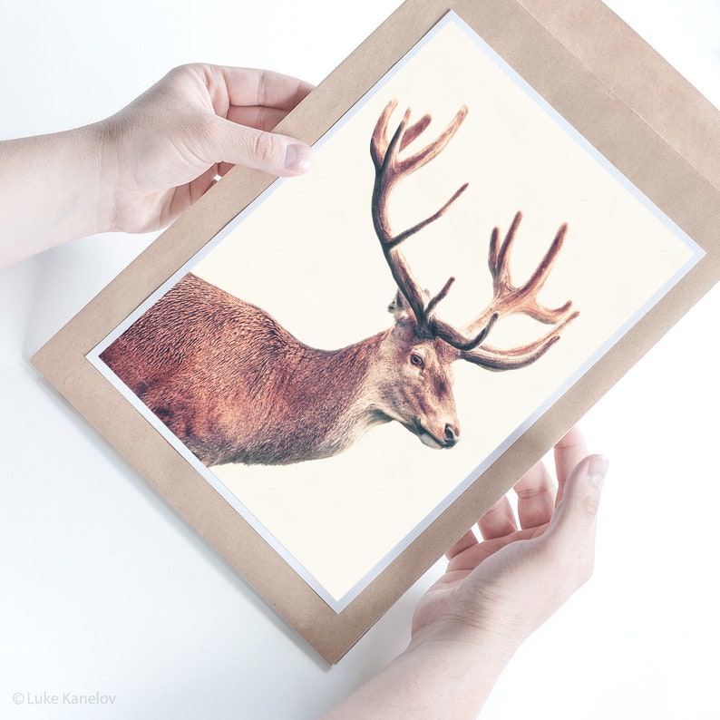 Red Deer Print Stag Art Poster Fine Art Print Deer - Etsy